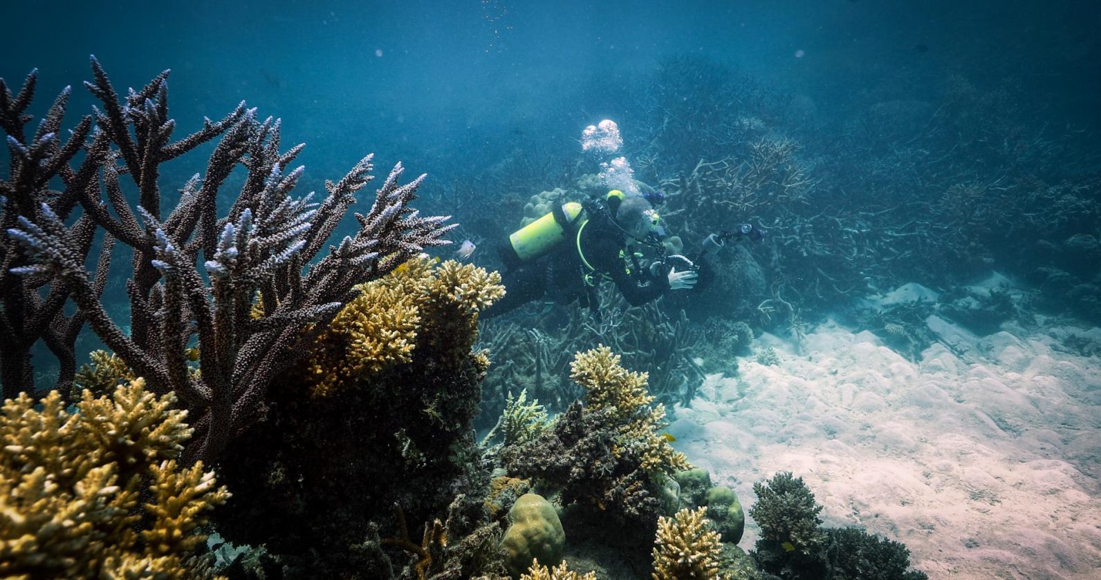 Ethical Living with Rick Grehan - Outdoor Japan