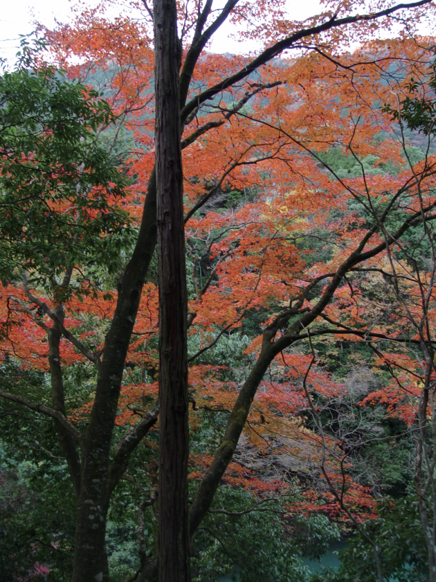 Outdoor Japan Magazine - Exploring Mitake-San
