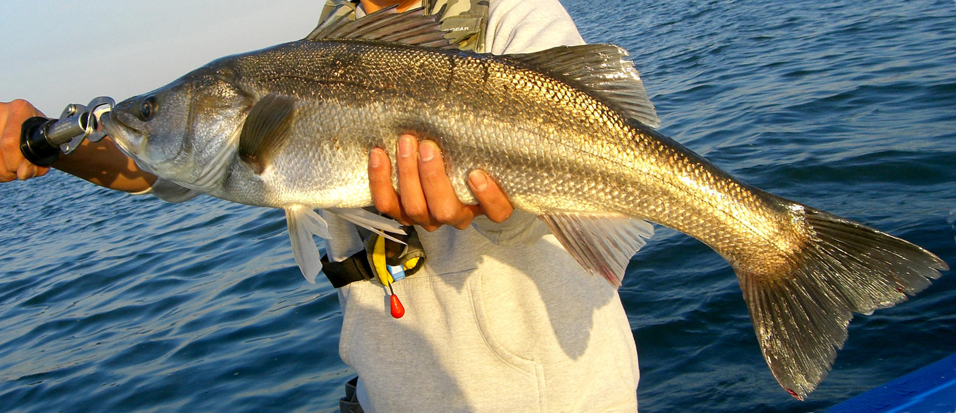 Outdoor Japan Magazine - Tokyo Bay Fishing Frenzy