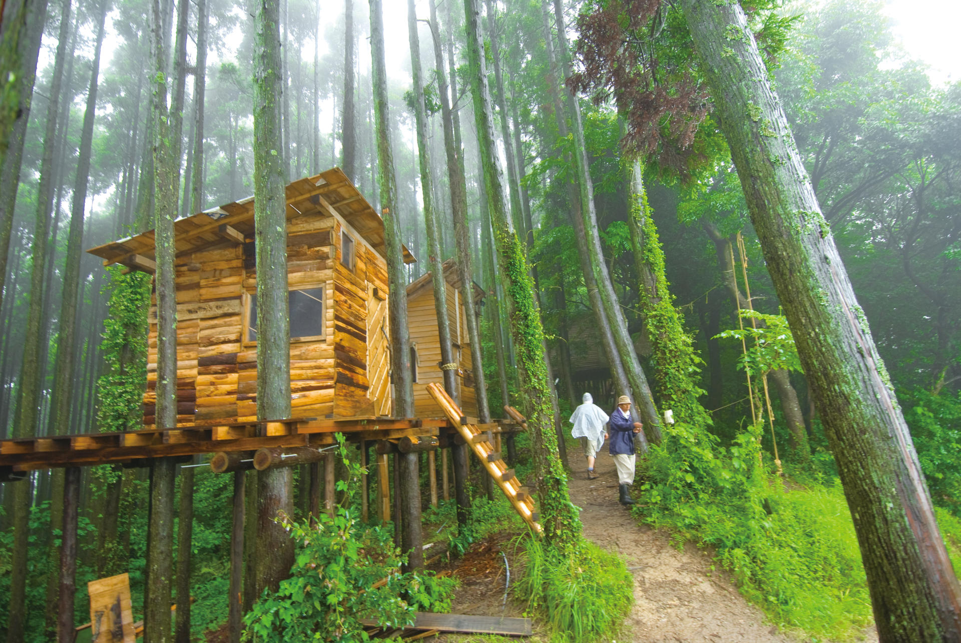 Outdoor Japan Magazine - Gankoyama Tree House Village