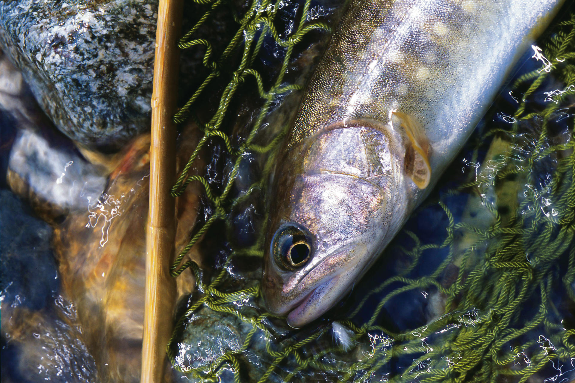Outdoor Japan Magazine - Tall (fishing) Tales from Tohoku
