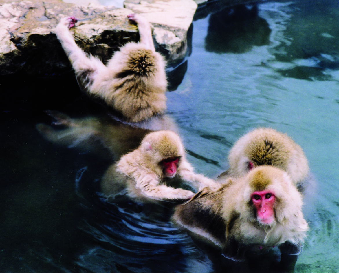 Outdoor Japan Magazine - Who Doesn’t Like a Hot Bath?