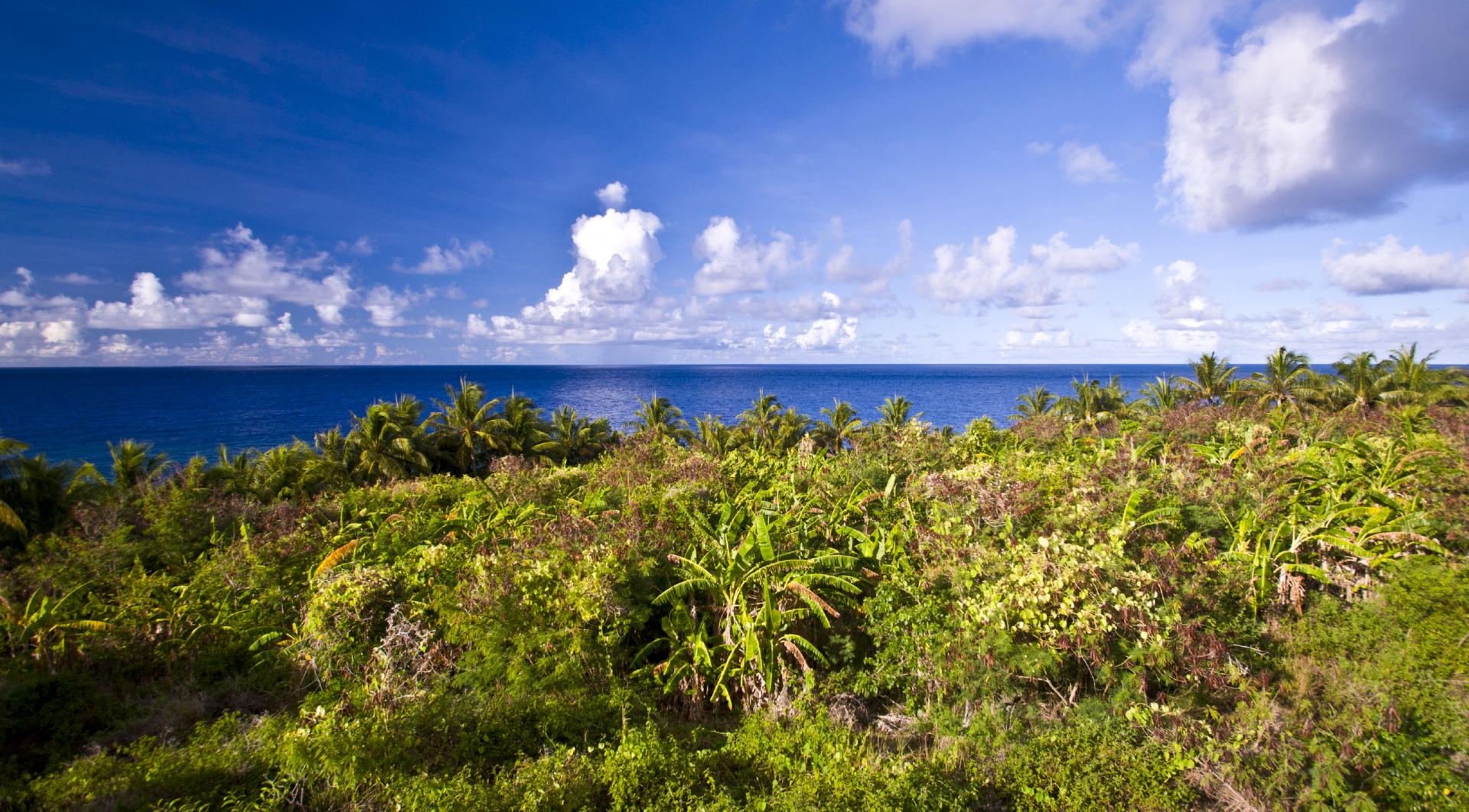 Outdoor Japan Magazine - Issue 36 - Island Beat - Diving into the CNMI ...