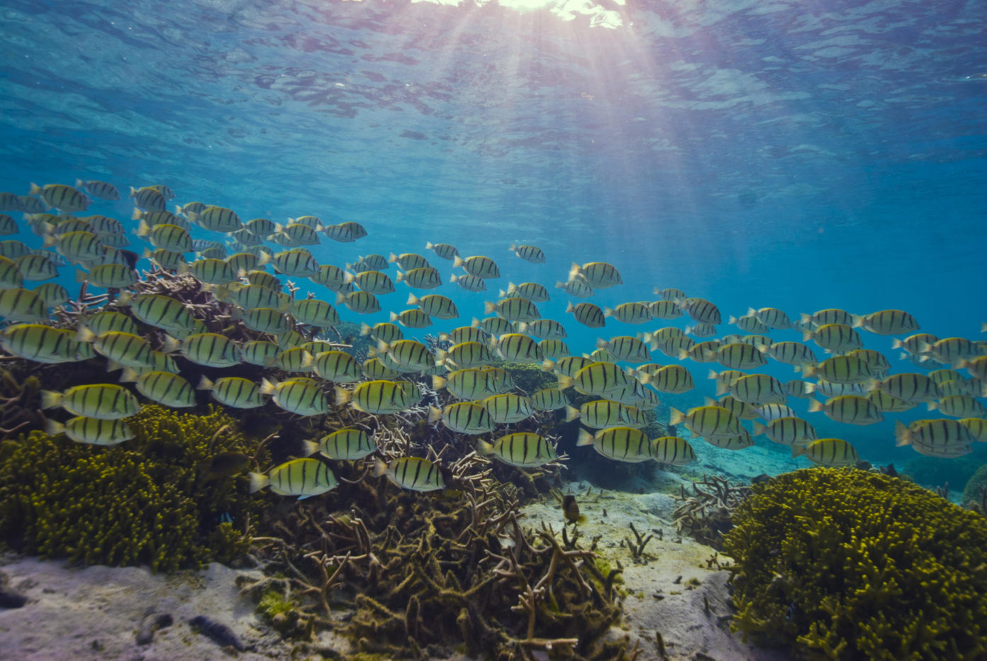 Outdoor Japan Magazine - Guam’s Pacific Treasures