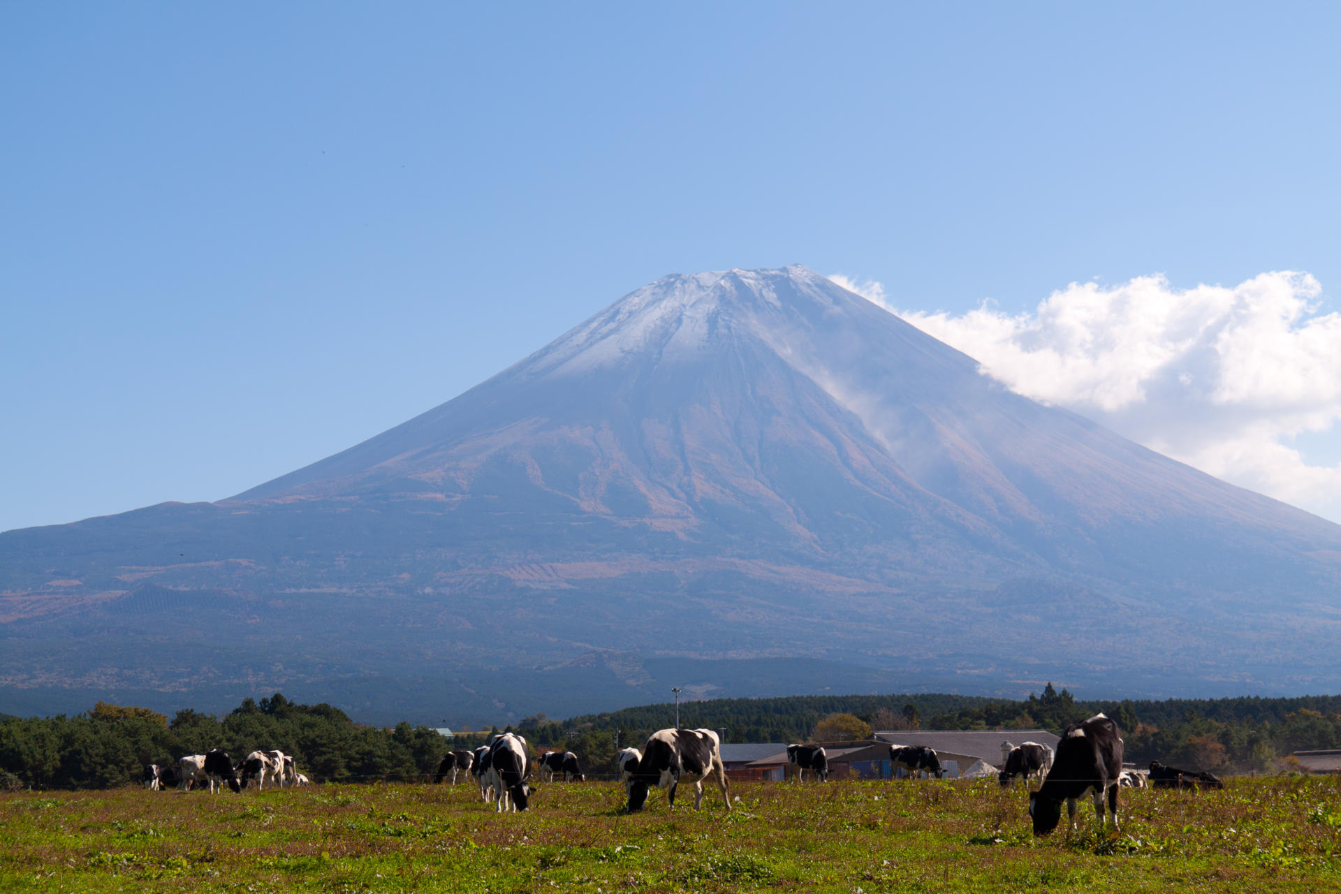 In and Around the Fuji Five Lakes - Outdoor Japan