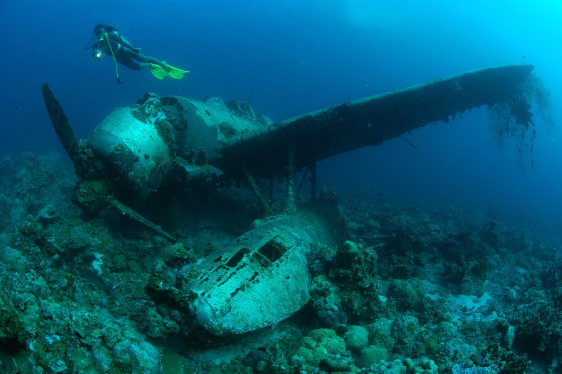 Outdoor Japan TRAVELER - Issue 42 - Winter 2012 - Palau’s New North ...