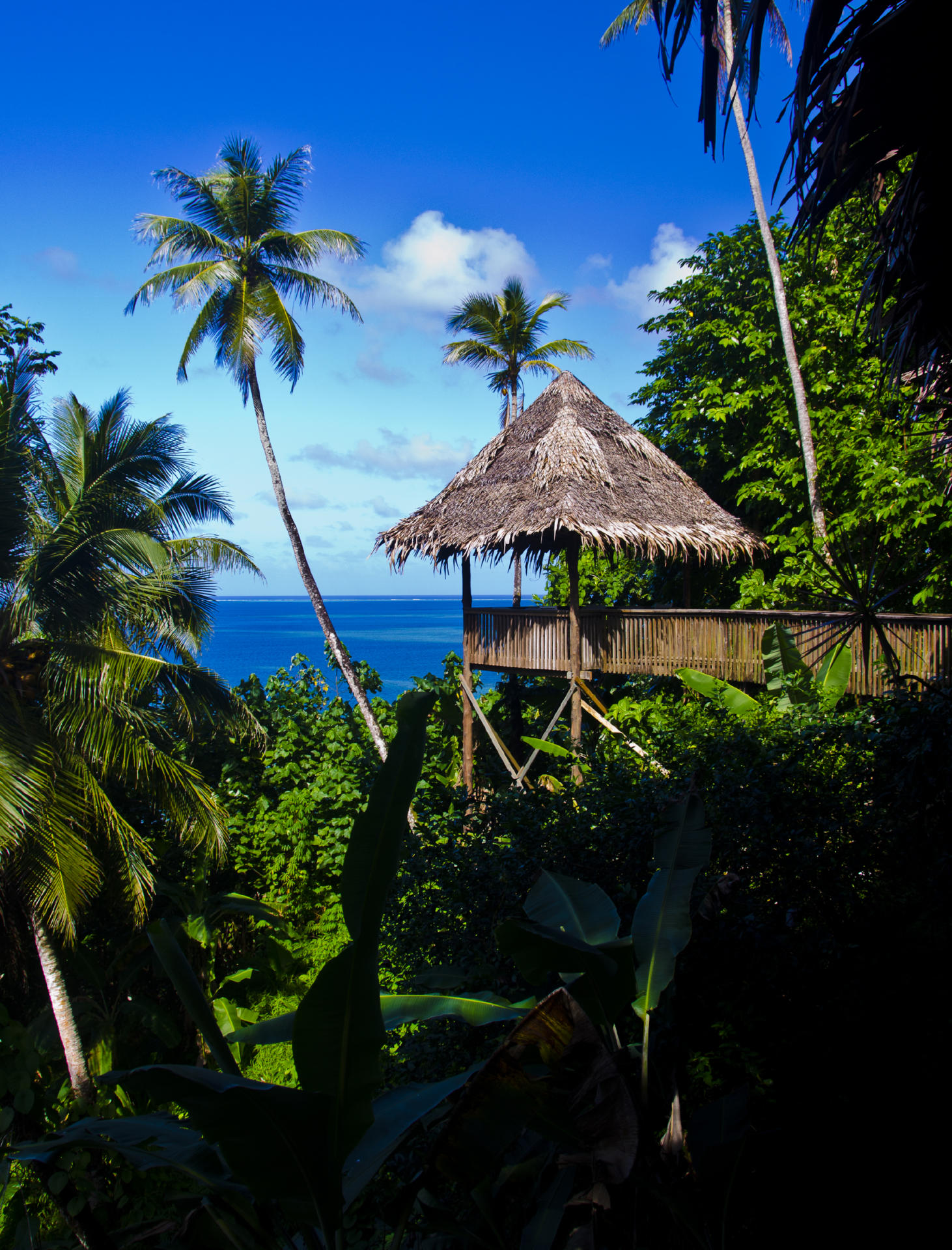 Outdoor Japan Traveler - Issue 44 - Summer 2012 - Pohnpei: A rare ...