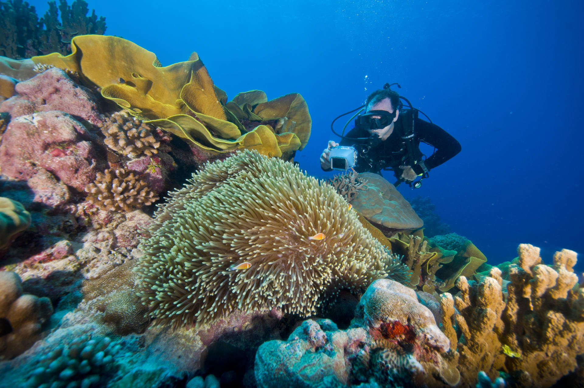 Outdoor Japan Traveler - Issue 43 - Spring 2012 - Exploring Lush Kosrae ...