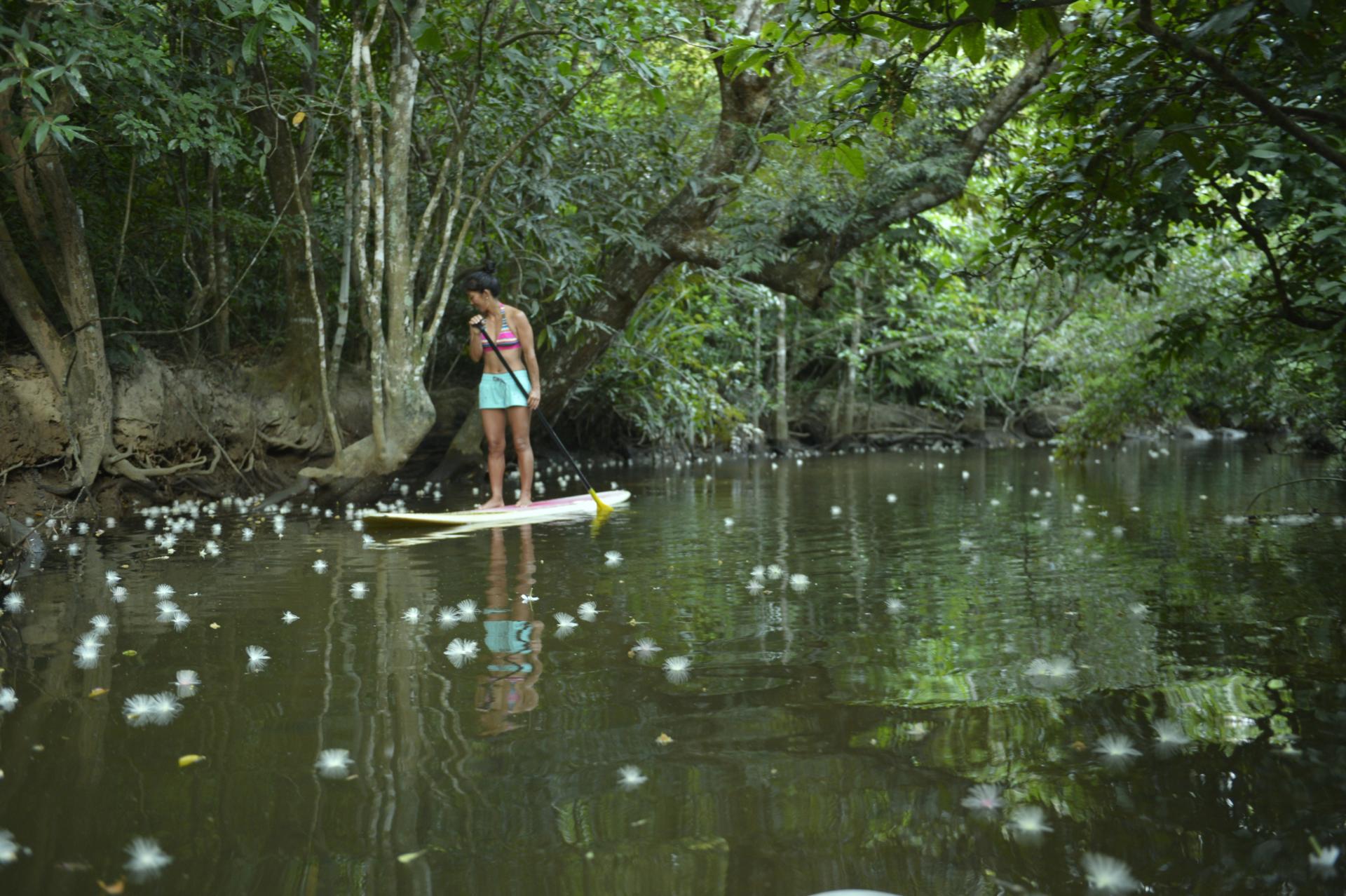 Paddling Japan's Last Frontier - Outdoor Japan