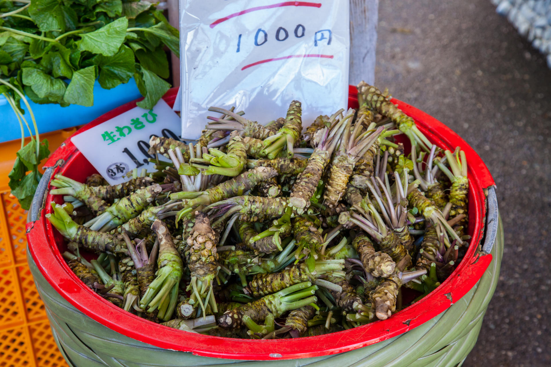 Outdoor Japan - Traveler Magazine -Issue 49 - Autumn 2013 - The Heart ...