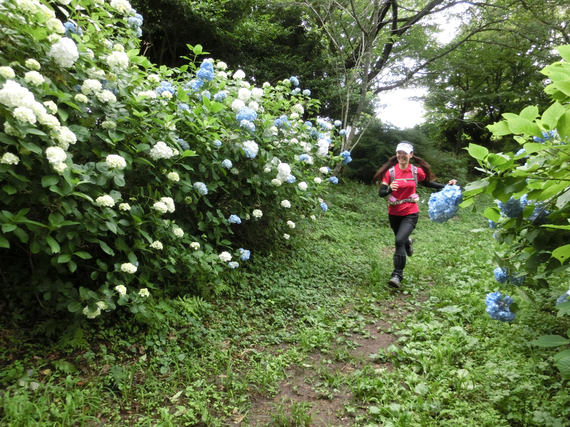 Blazing Spring Trails: Spring Trail Running in Japan