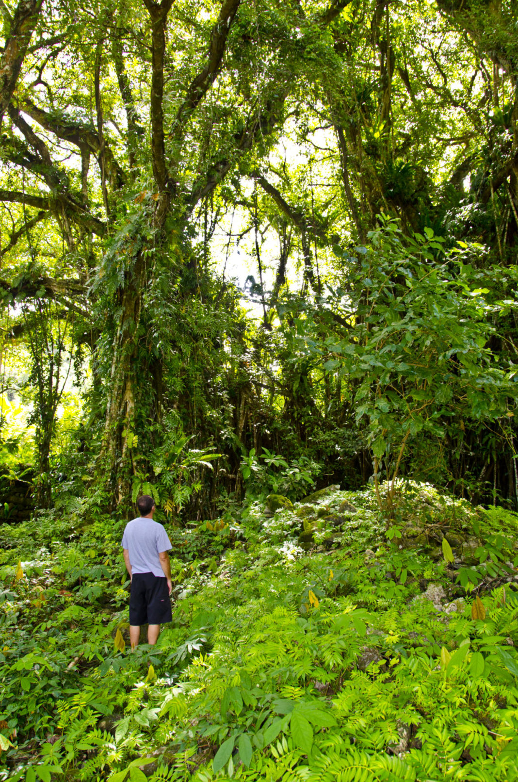 Outdoor Japan Traveler - Issue 52 - Summer 2014 - Micronesia Island ...