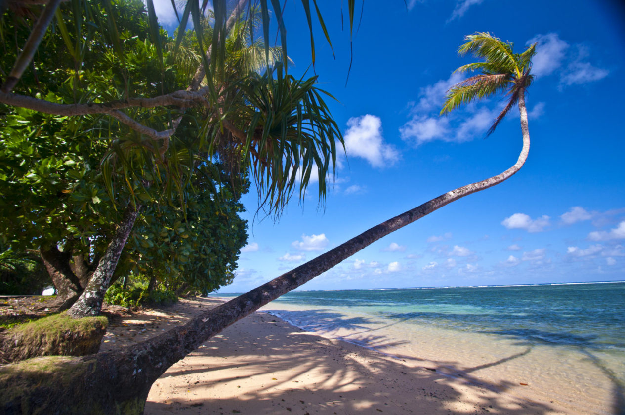 Outdoor Japan Traveler - Issue 52 - Summer 2014 - Micronesia Island ...