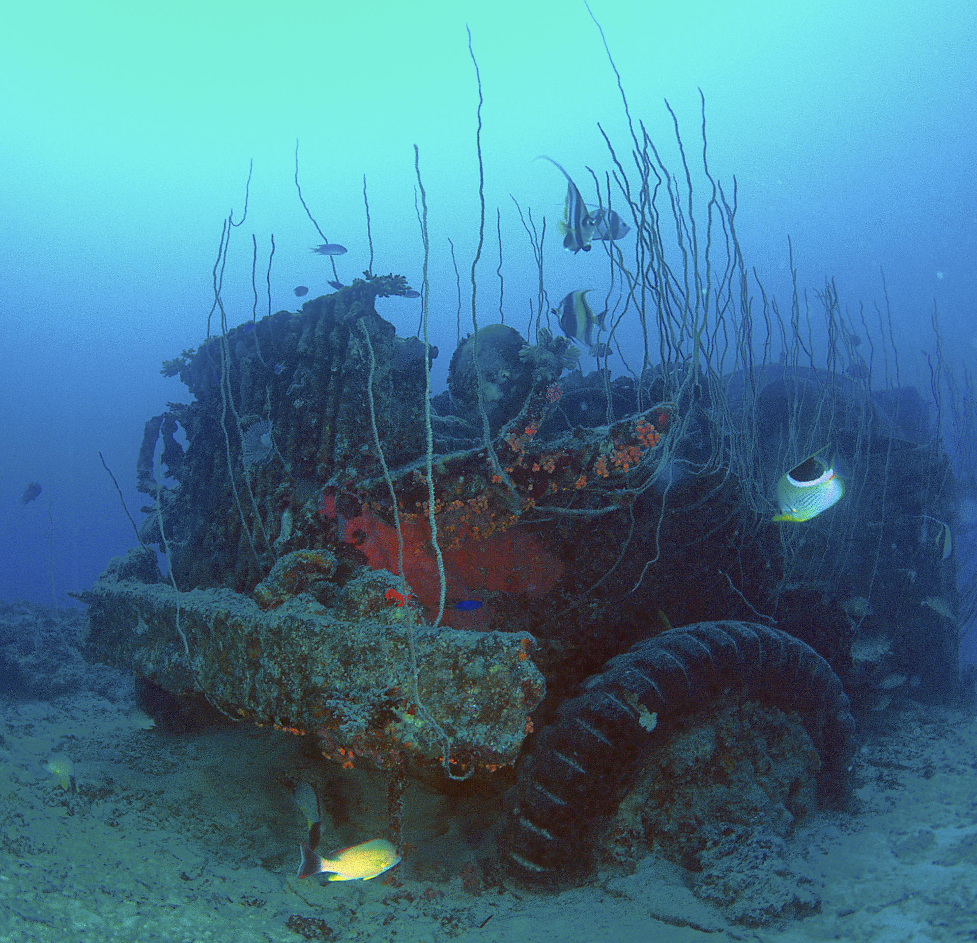 Outdoor Japan Traveler - Issue 52 - Summer 2014 - Micronesia Island ...