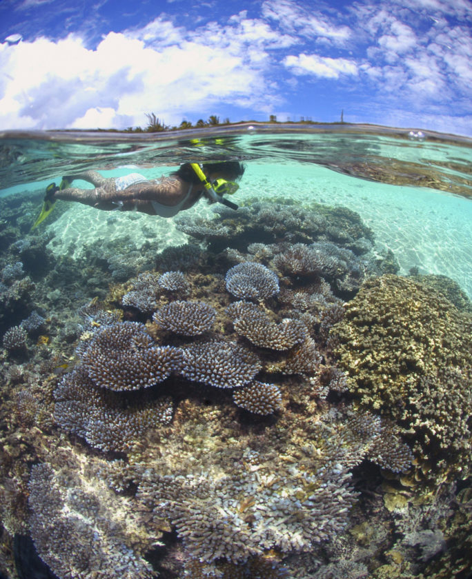 Outdoor Japan Traveler - Issue 52 - Summer 2014 - Micronesia Island ...