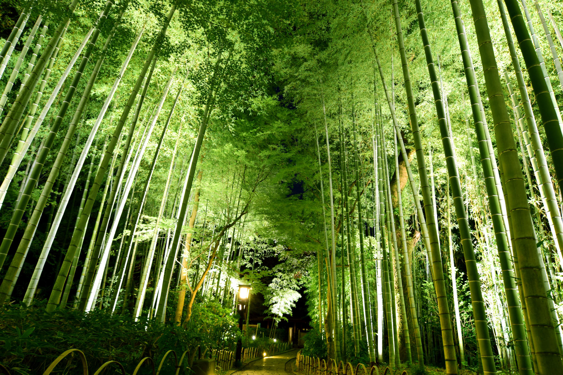 Shuzenji Sanctuary - Outdoor Japan