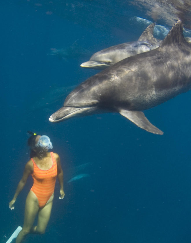 Japan’s Top 10 Dives - Outdoor Japan