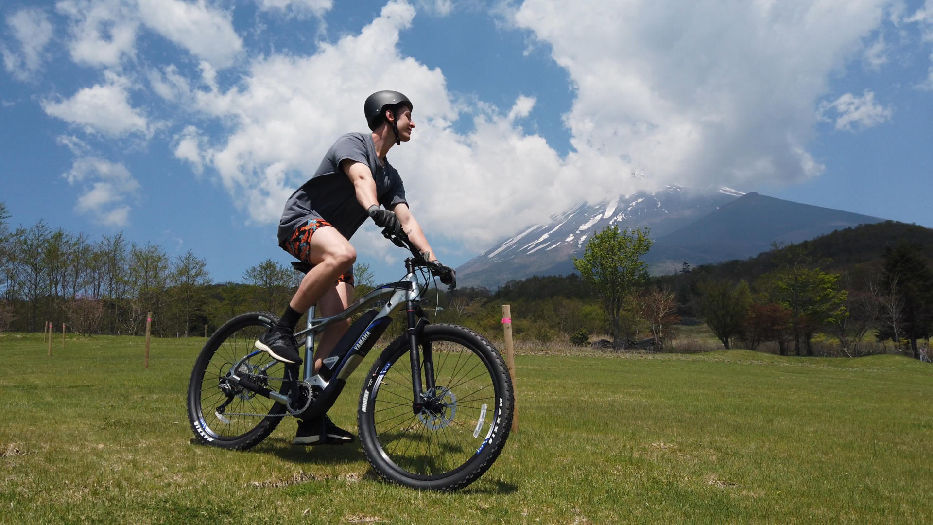 Wild Family Fun at Fujisan - Outdoor Japan