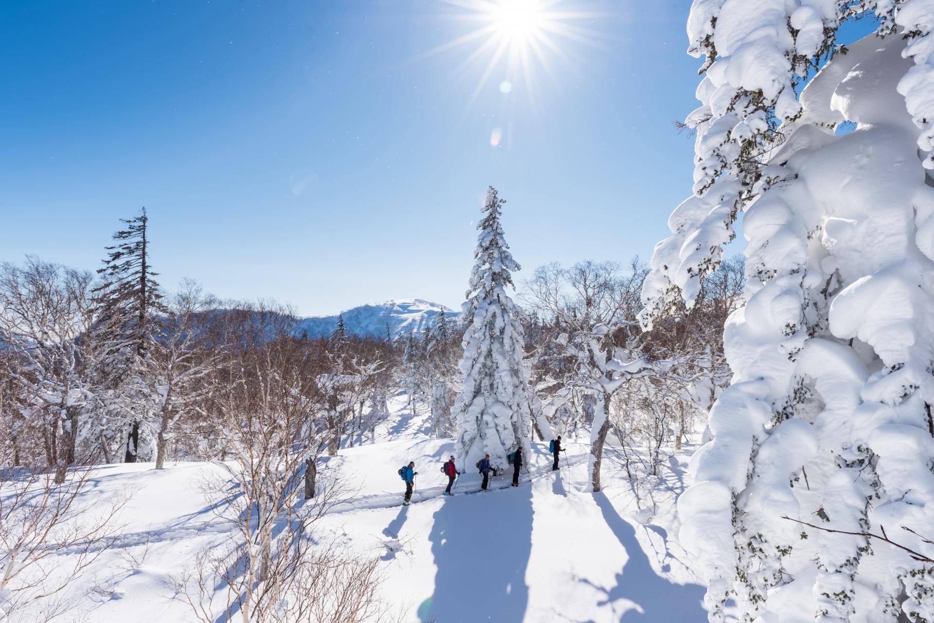 Friends Behind the Lens - Outdoor Japan