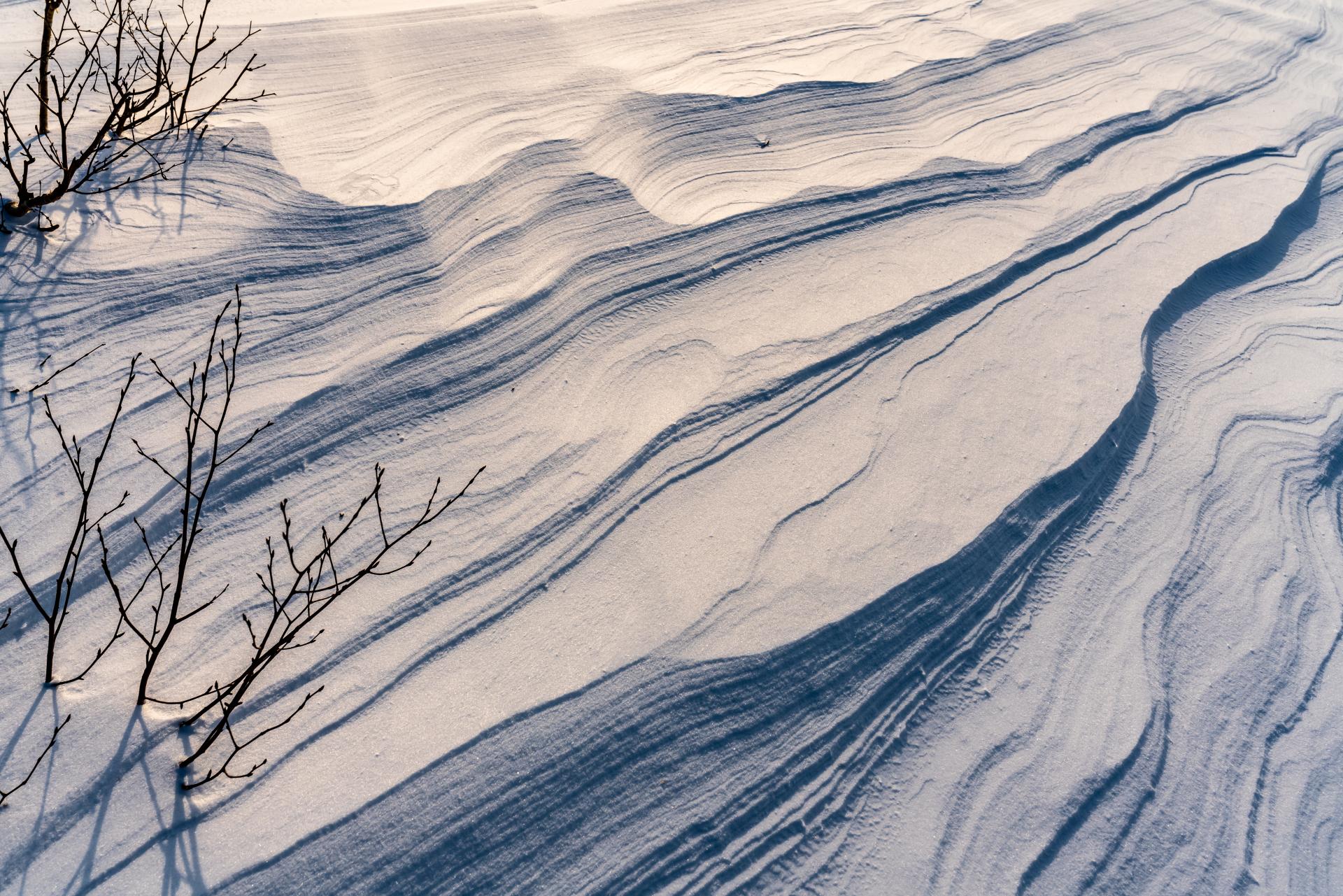 Friends Behind the Lens - Outdoor Japan