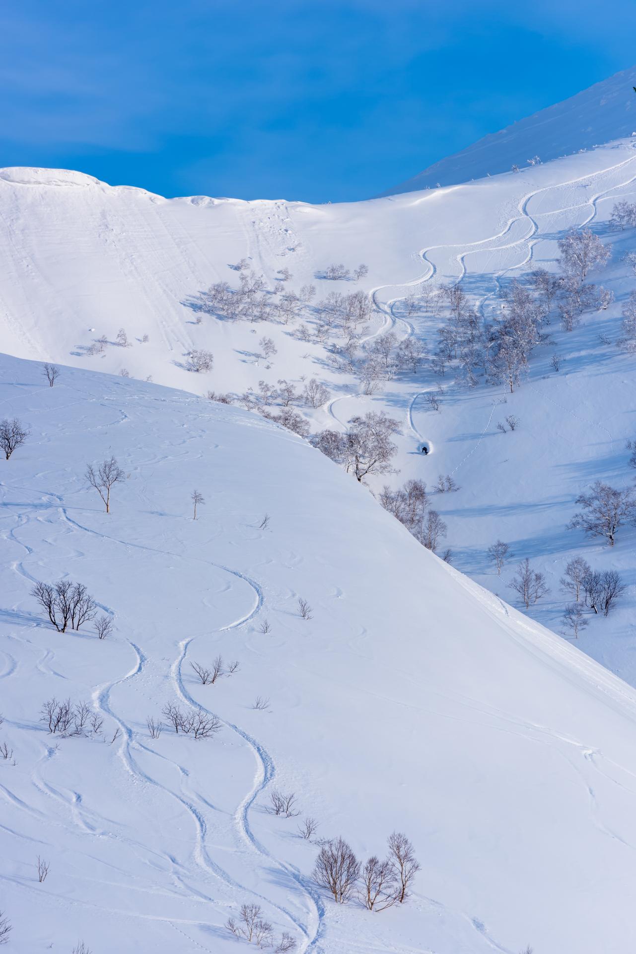 Friends Behind the Lens - Outdoor Japan