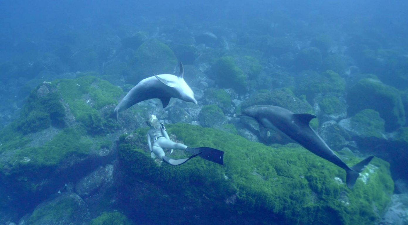 Free Fall with Hanako Hirose