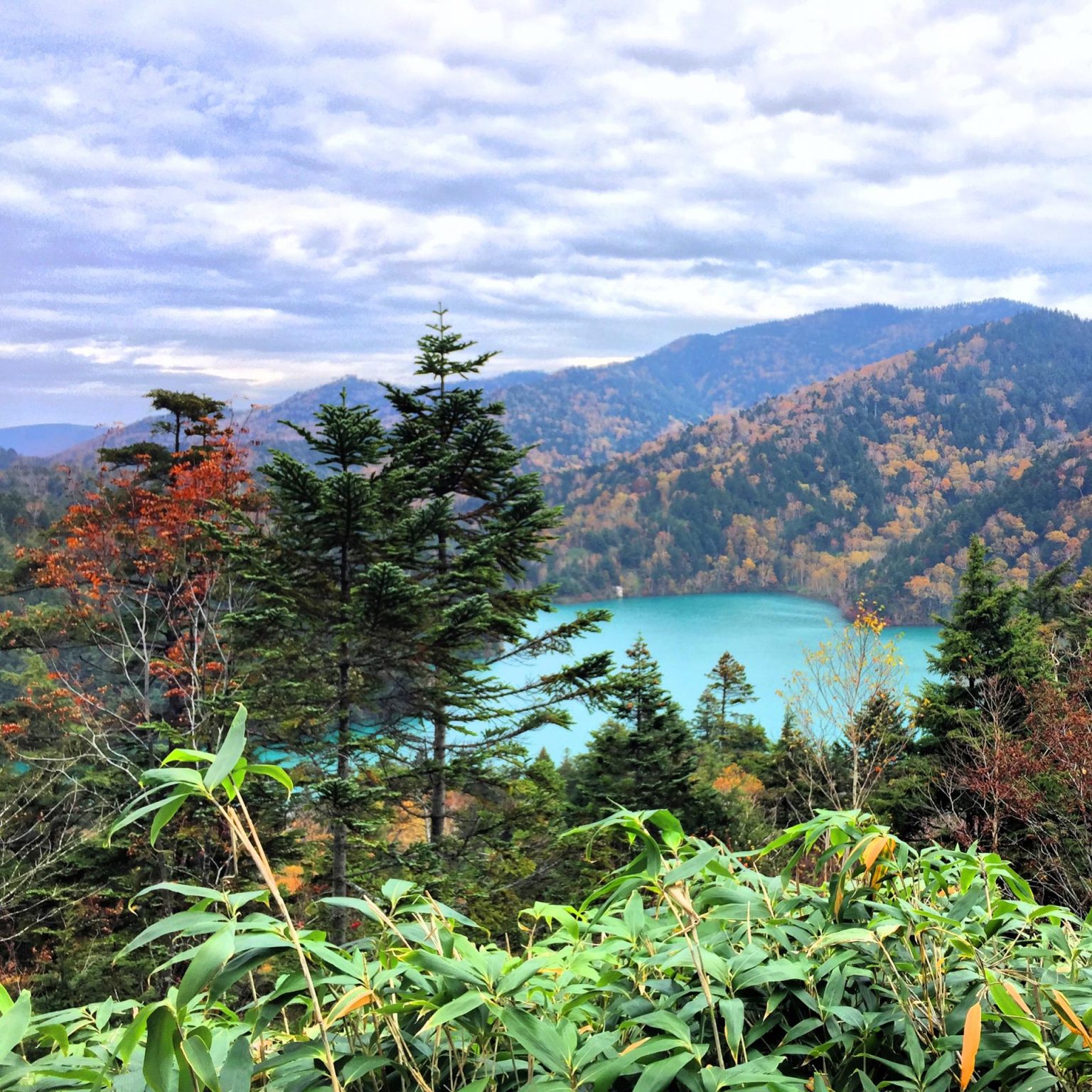 Autumn Hiking in Northern Nagano - Outdoor Japan