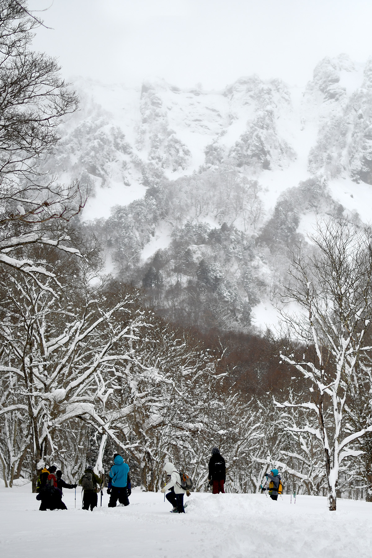 Snowshoeing in Nagano with Ninjas - Outdoor Japan