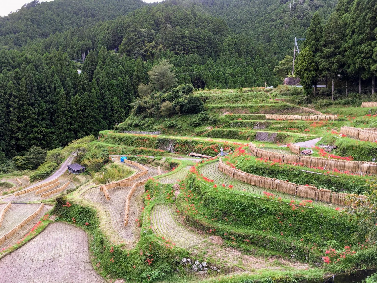 Kamikatsu: Japan's First Zero Waste Village - Outdoor Japan