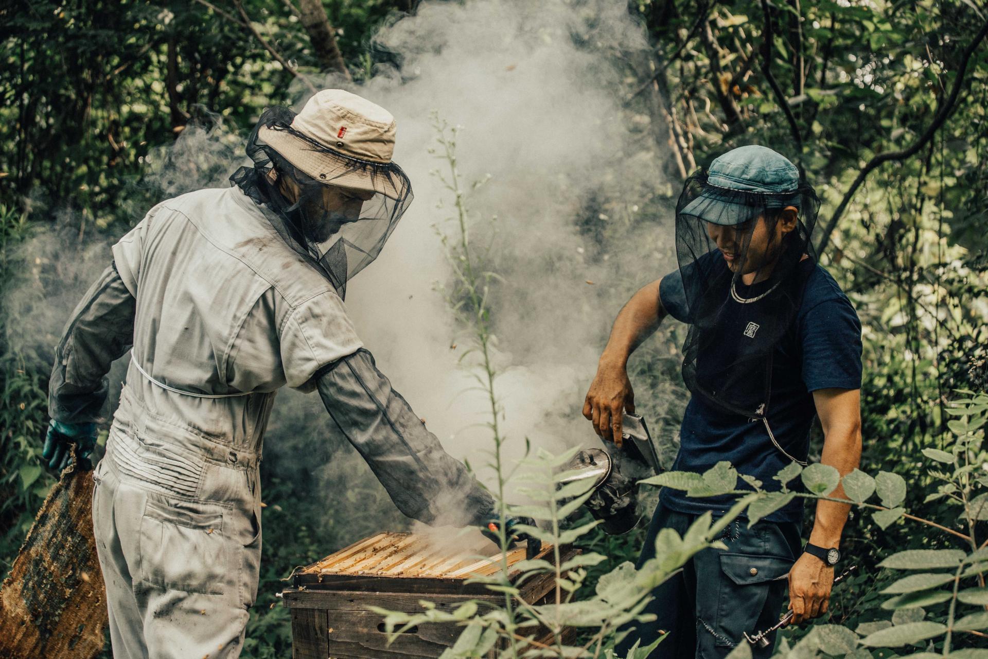 Honey Business in Tokushima - Outdoor Japan