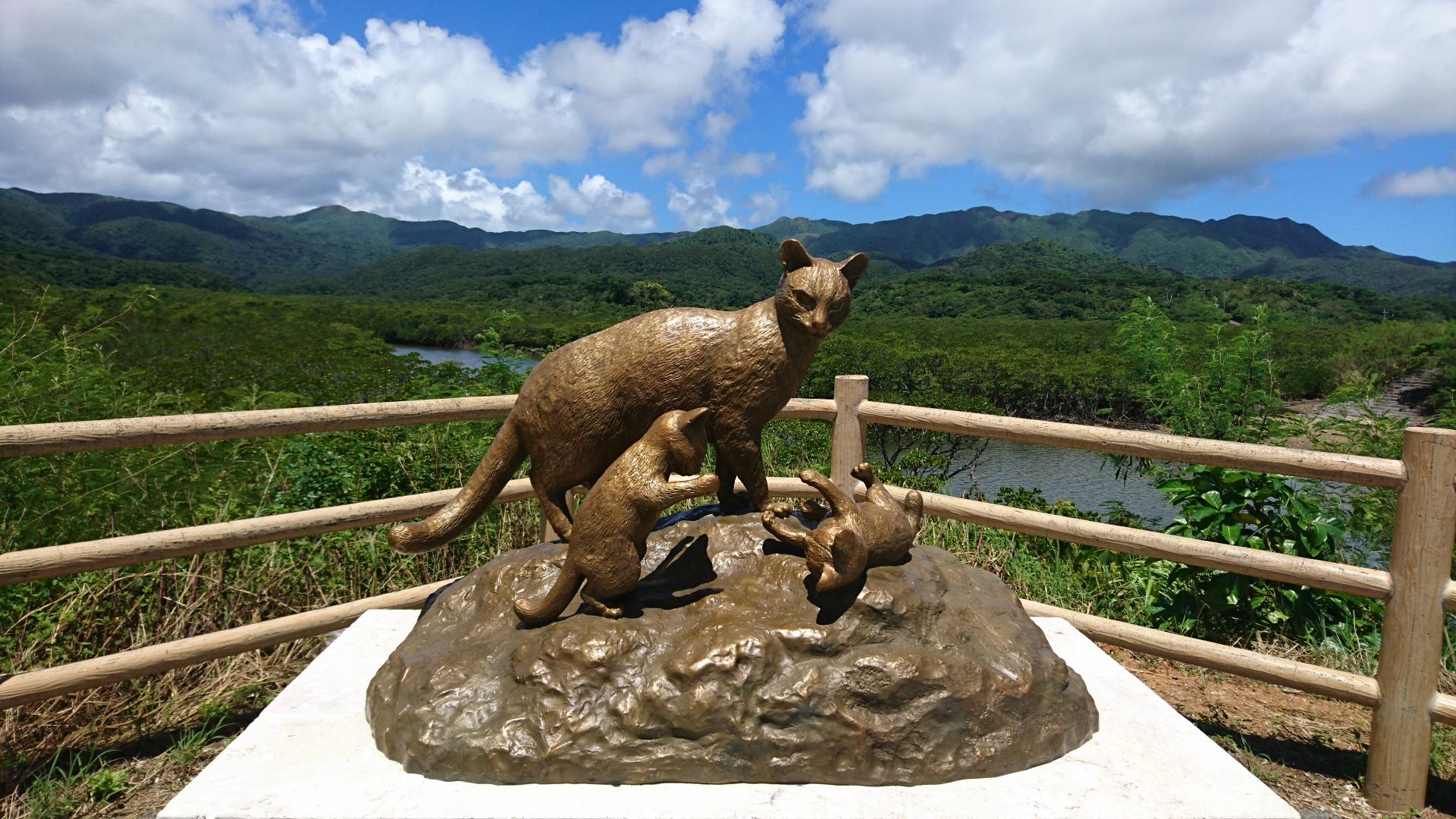 Iriomote's Endangered Wildcats - Outdoor Japan