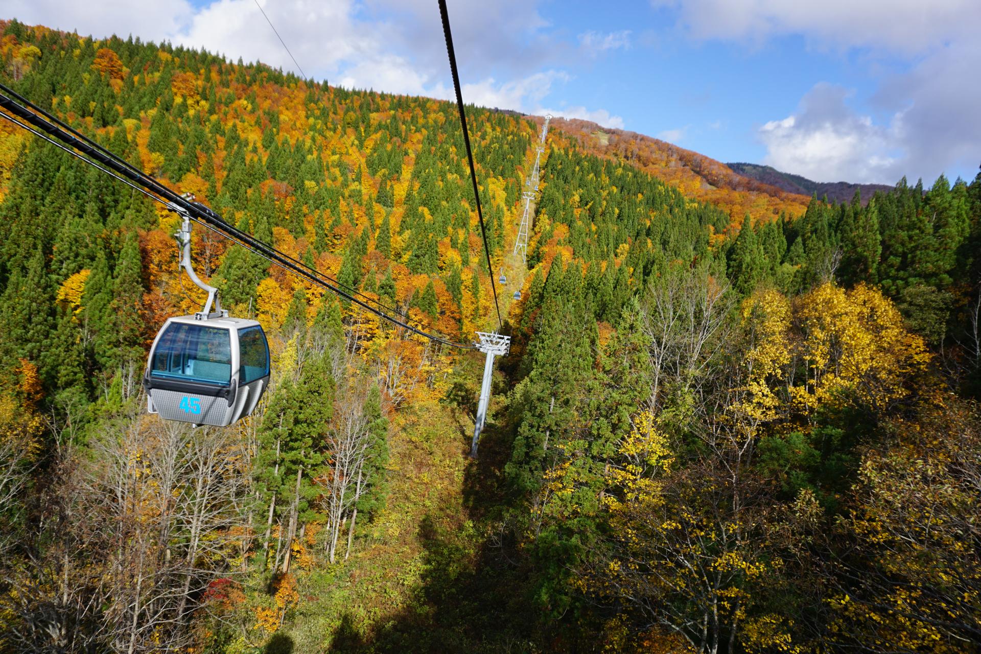 Tracking Akita's Matagi Hunters - Outdoor Japan