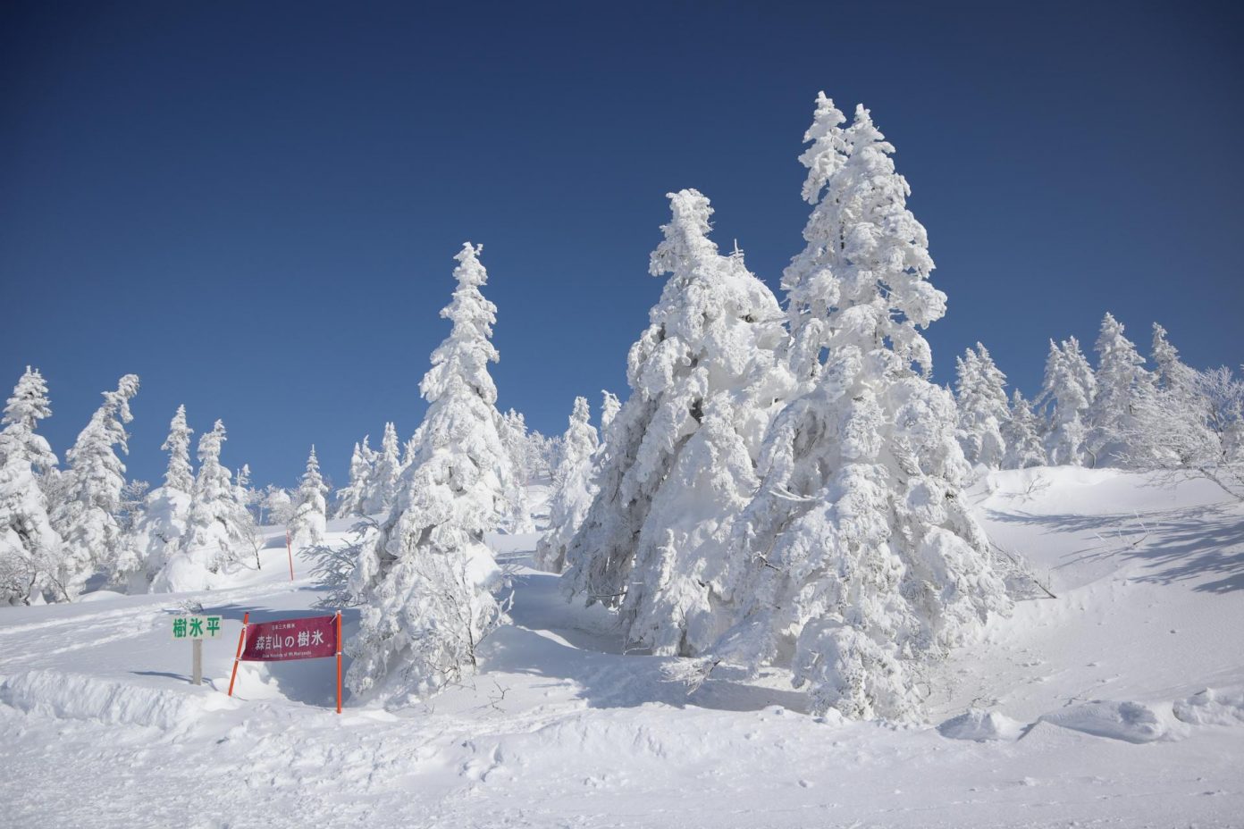 Tracking Akita's Matagi Hunters - Outdoor Japan