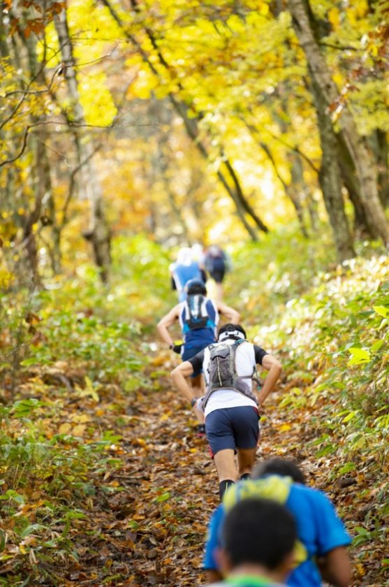 Autumn Races in Japan 2022 - Outdoor Japan
