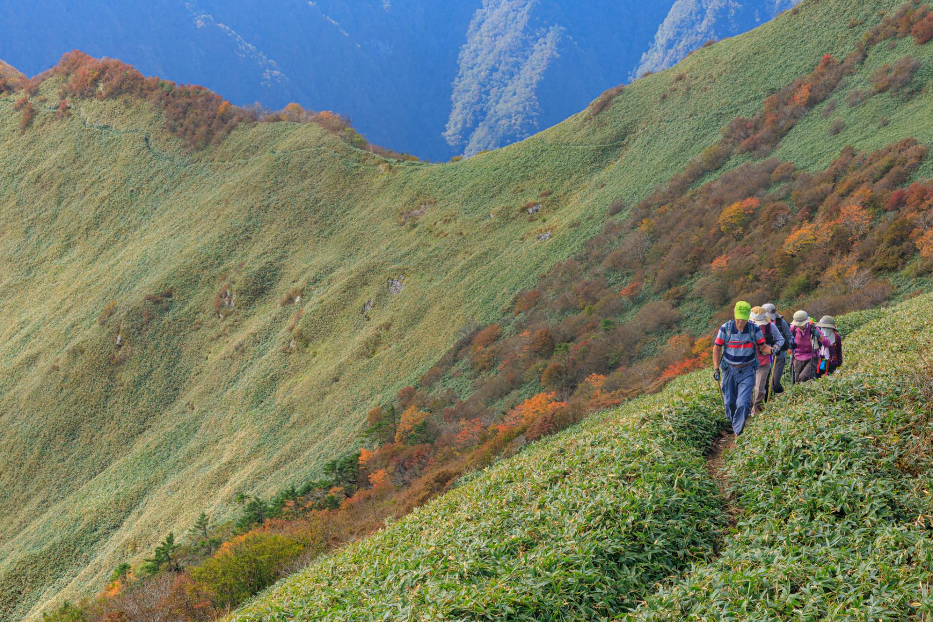 Take a Trip to the Wild Side : From Kansai to Kochi - Outdoor Japan