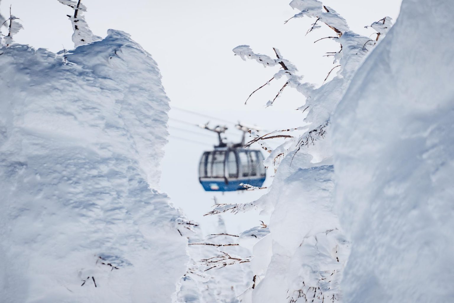 The Guardians of Zao - Outdoor Japan