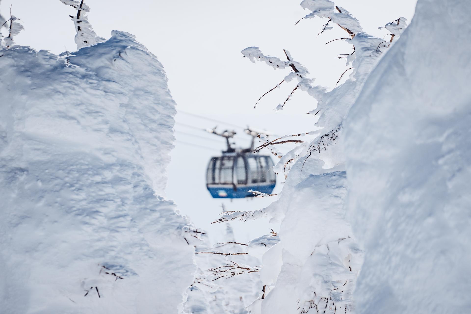 The Guardians of Zao - Outdoor Japan