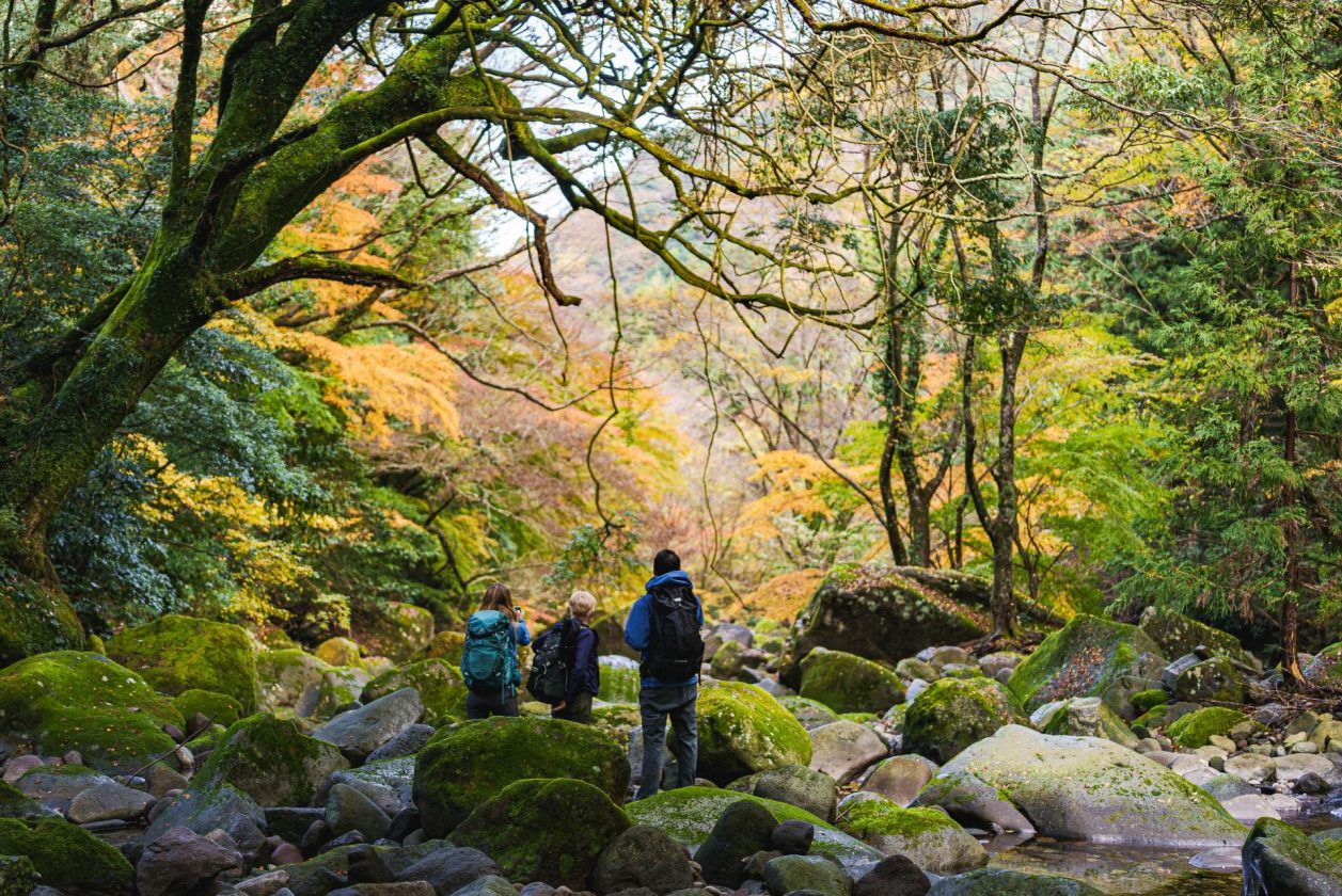Three Days Exploring Hakone's Trails - Outdoor Japan