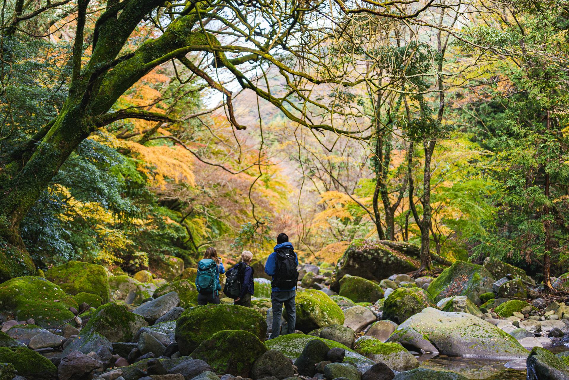 Three Days Exploring Hakone's Trails - Outdoor Japan
