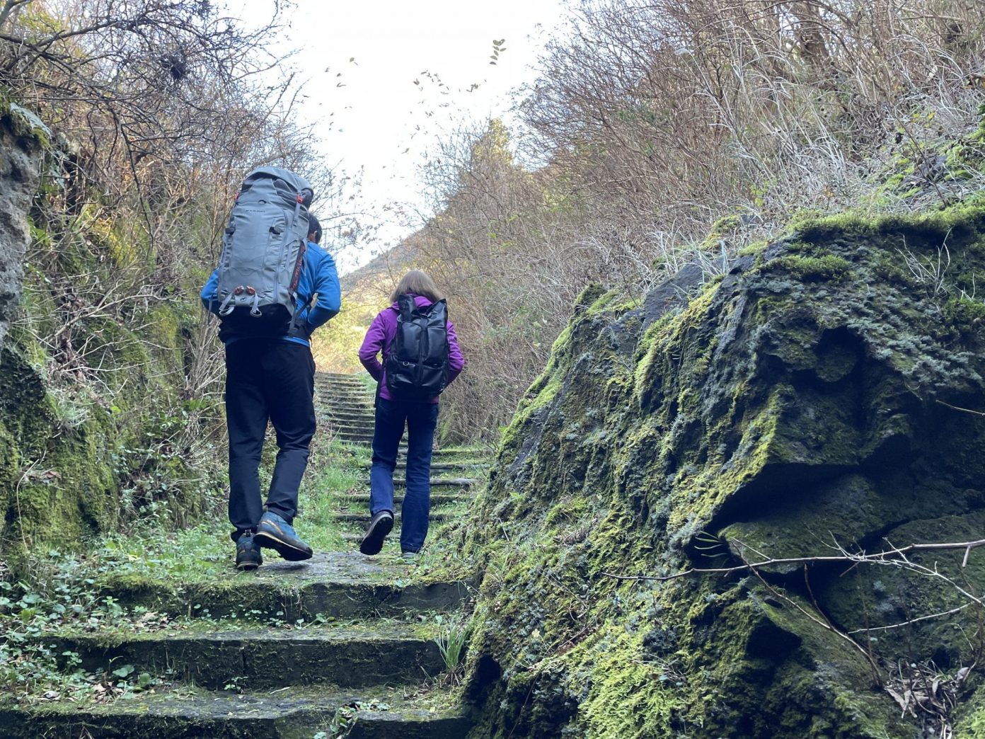 Three Days Exploring Hakone's Trails - Outdoor Japan