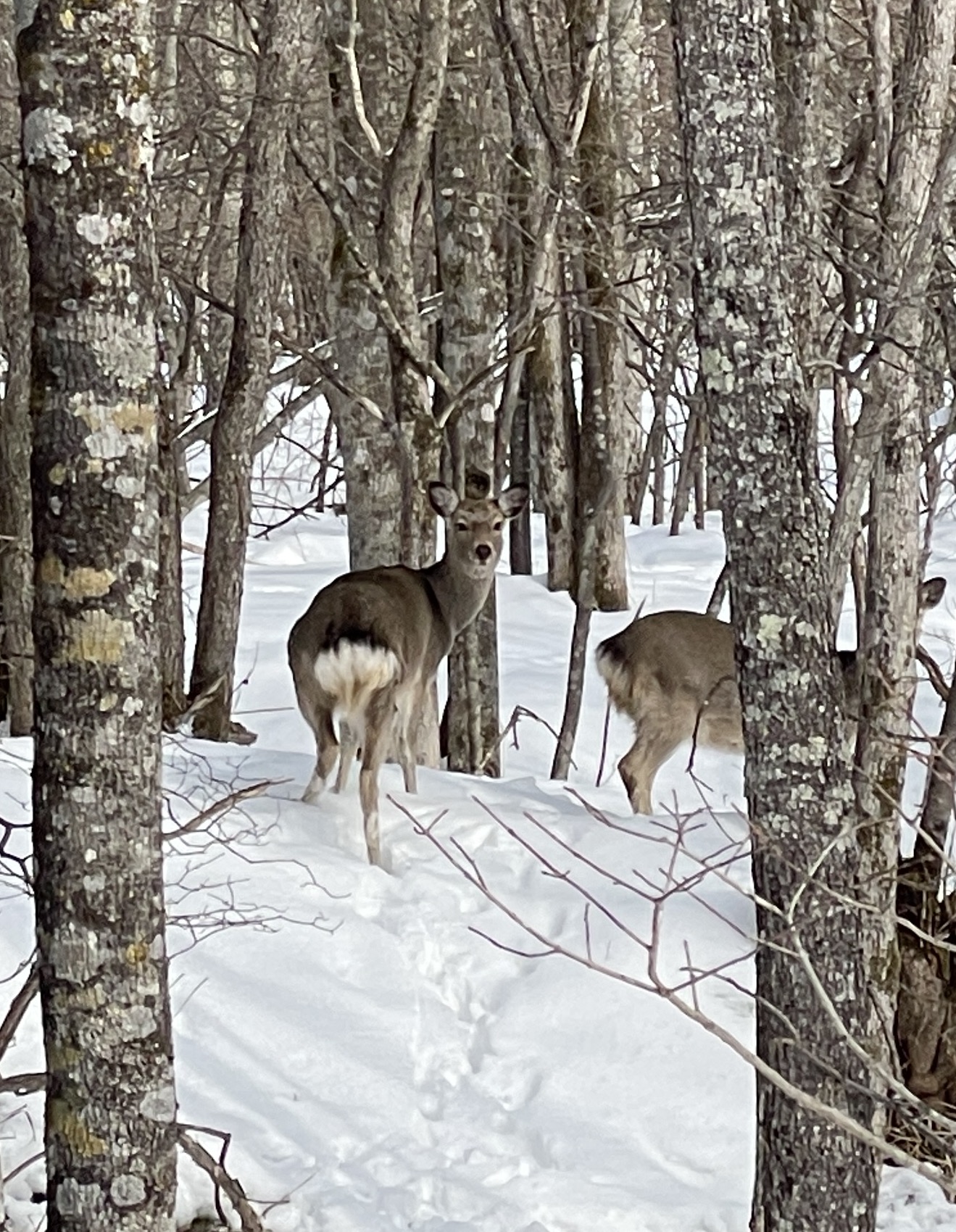 Heritage Hunting in Hokkaido - Outdoor Japan