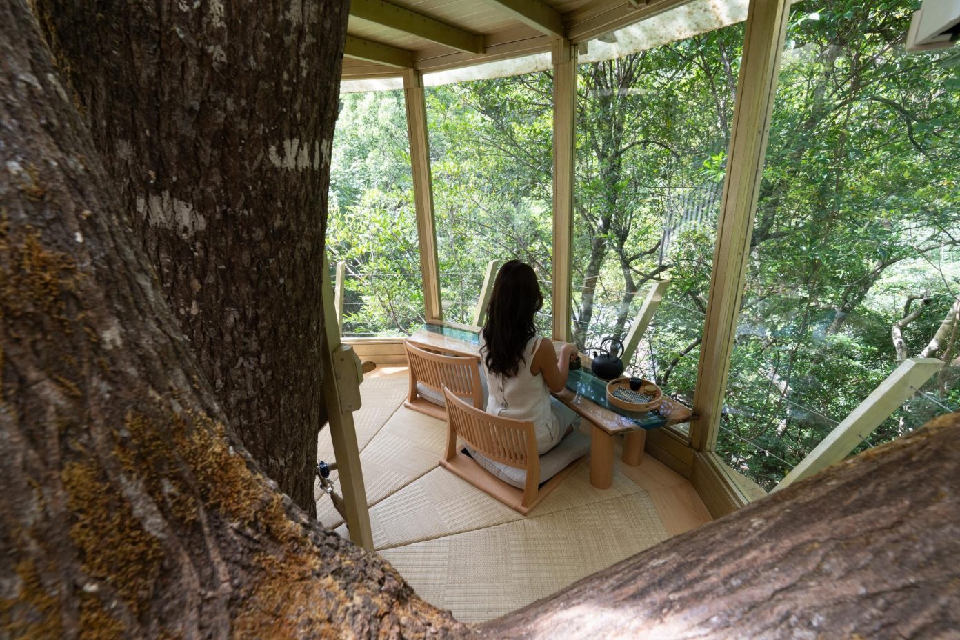 Okinawa's Treehouse Oasis - Outdoor Japan