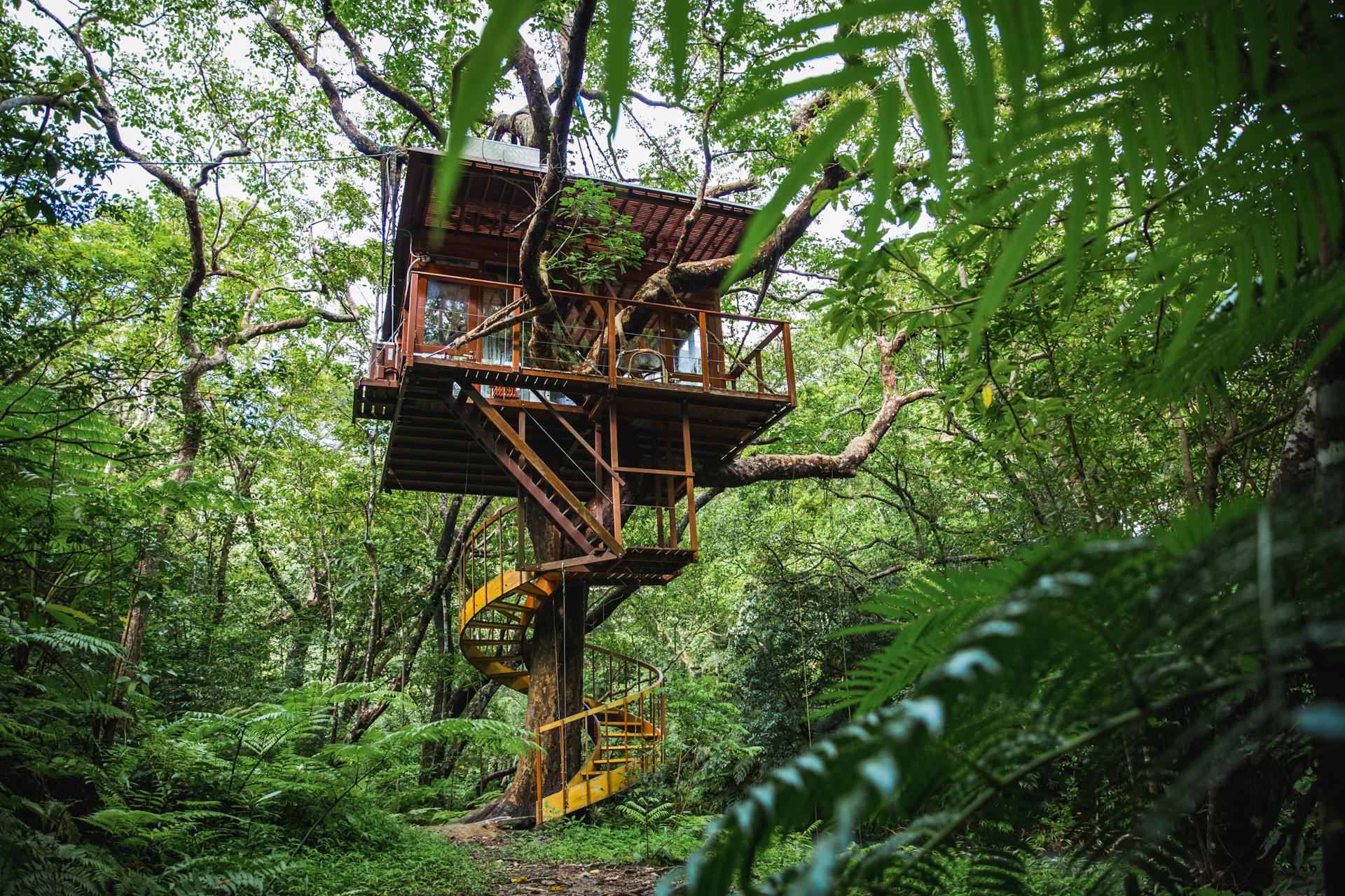 Okinawa's Treehouse Oasis - Outdoor Japan
