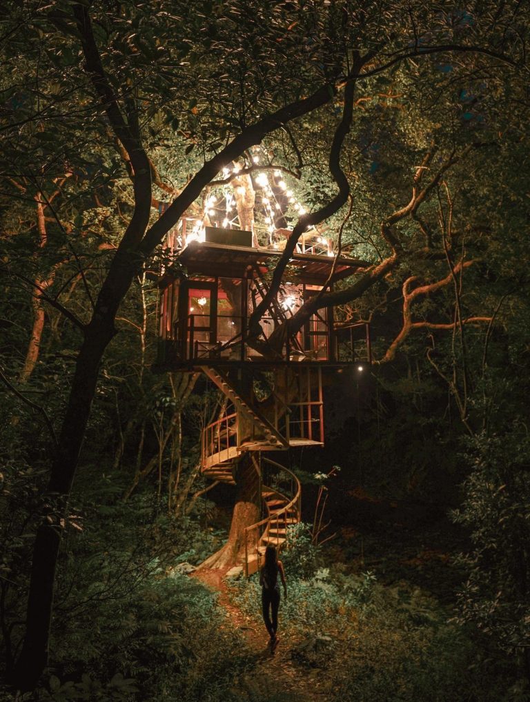 Okinawa's Treehouse Oasis - Outdoor Japan
