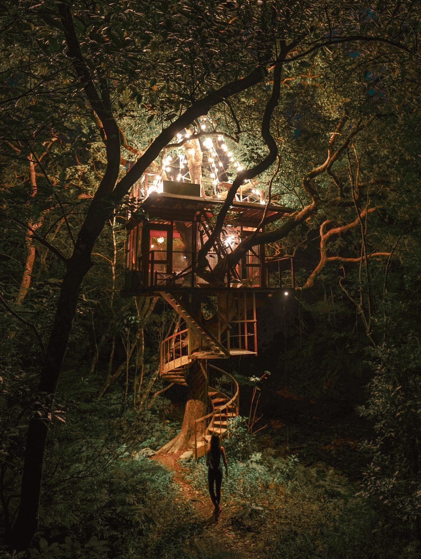 Okinawa's Treehouse Oasis - Outdoor Japan
